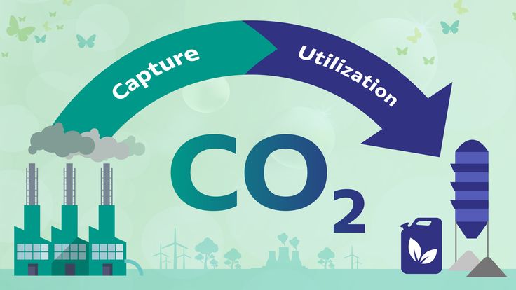 Carbon Capture Solutions for a Greener Malaysia